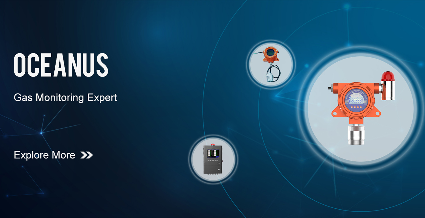 Oceanus Gas Detection System Include Of The Fixed Gas Detector Portable Gas Detector Air