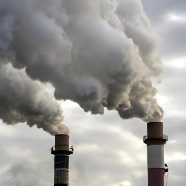 The Necessity Of Industrial Flue Gas Analysis – Oceanus gas detection ...